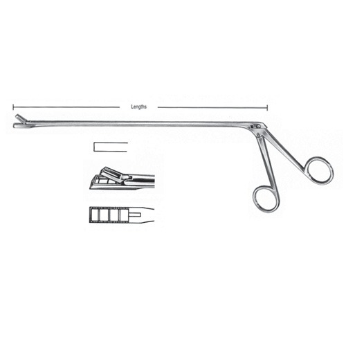 Yeoman Rectal Biopsy Forceps, (L/Shaft) 28cm | Rhein Website